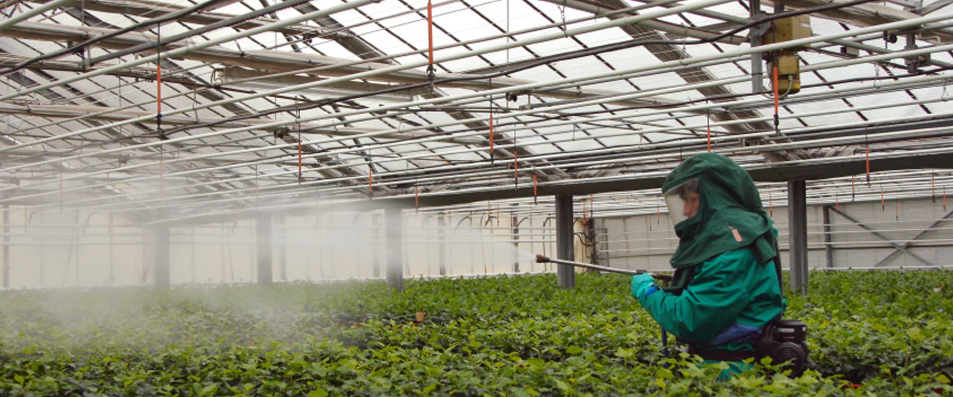 WORKER PROTECTION STANDARD PESTICIDE SAFETY TRAINING